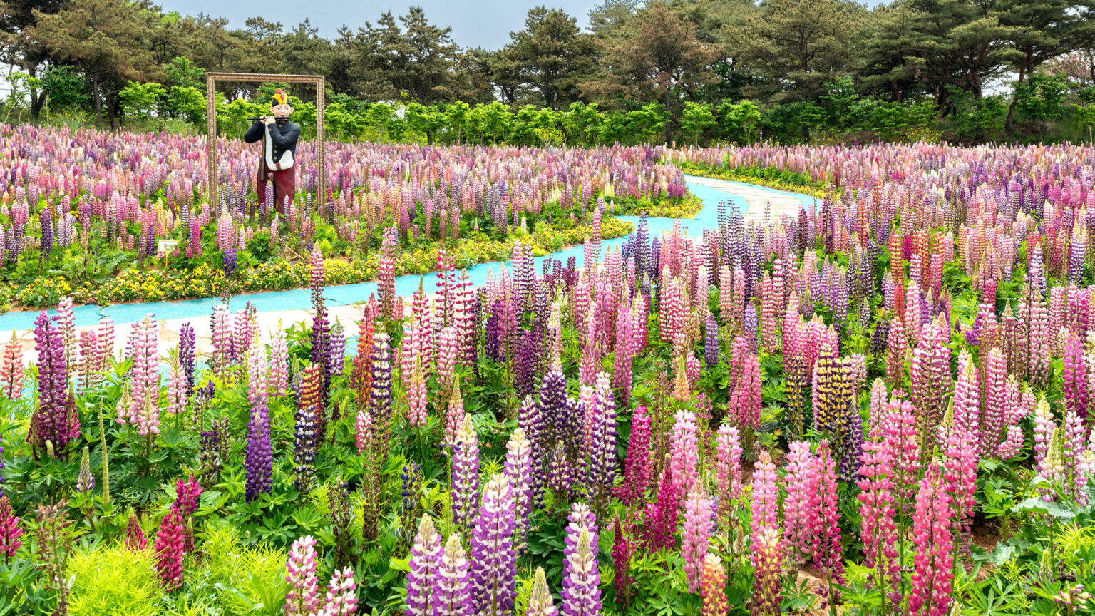 Floriga Messe Leipzig 2025 • doopin